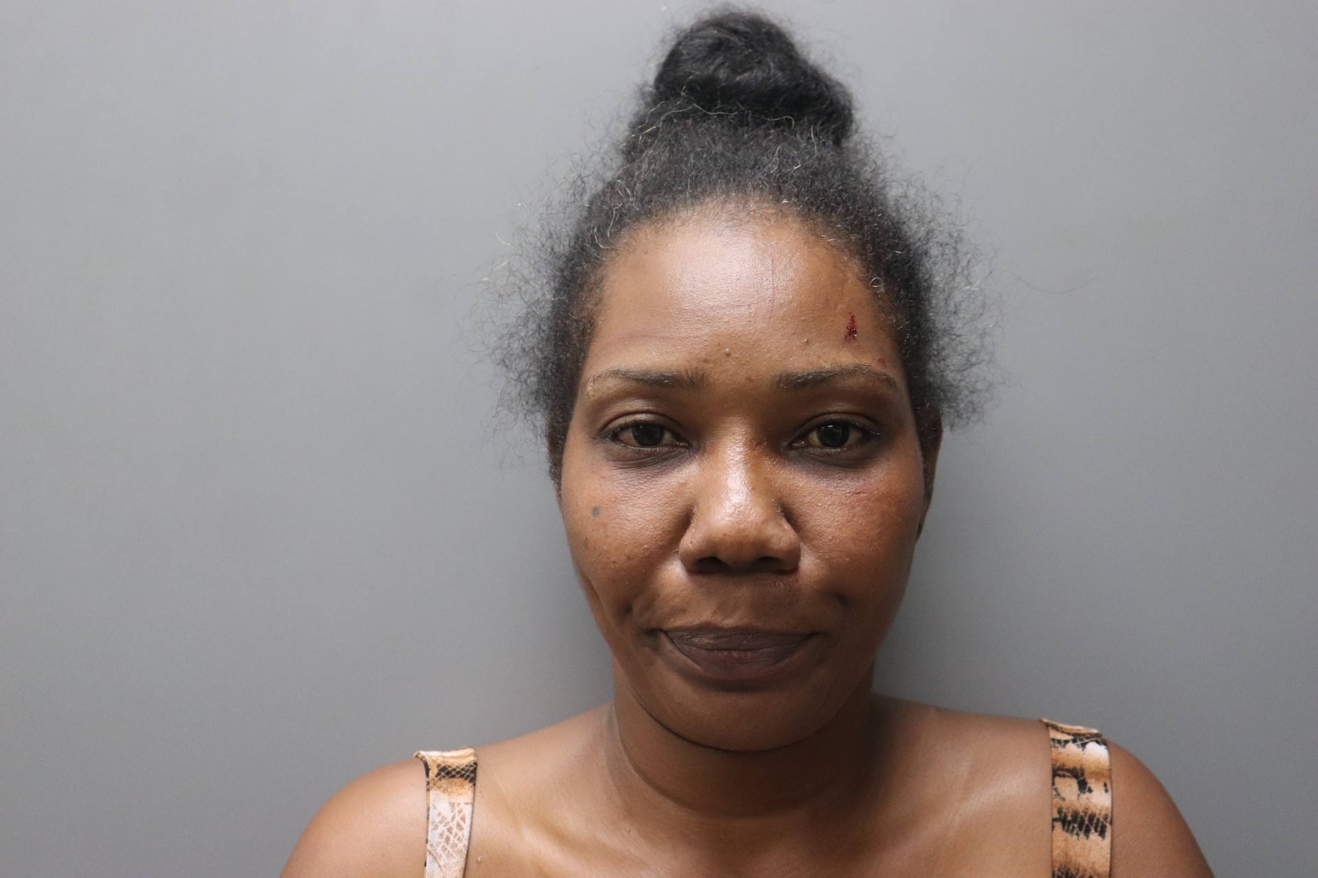 VIPD ARRESTS FEMALE SUSPECT FOLLOWING MULTIPLE ASSAULTS ANDPROPERTY DAMAGE INCIDENTS - VIPD