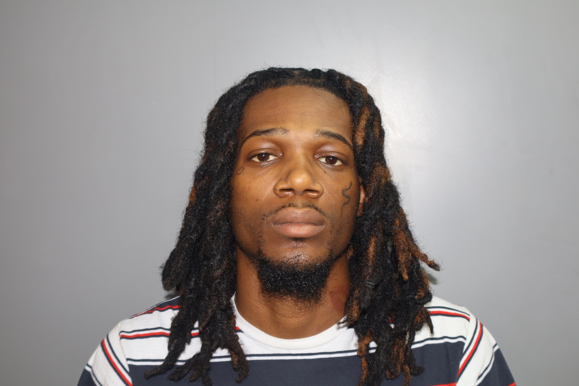 Two Arrested After Firearm and Ammunition were Found During Execution ...